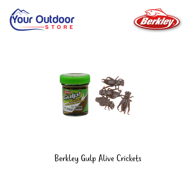 Berkley Gulp Alive Crickets | Your Outdoor Store